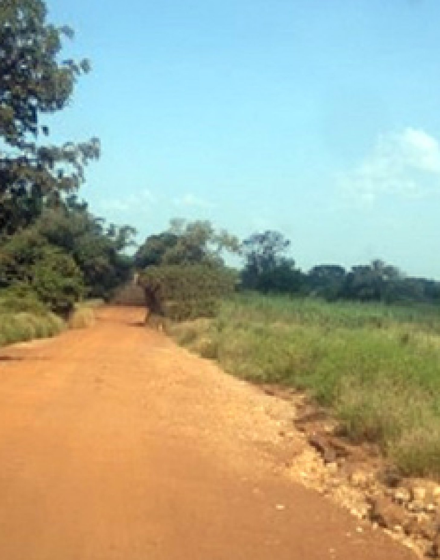 Asphalting of the Kelo-Pala road in Chad - VINCI